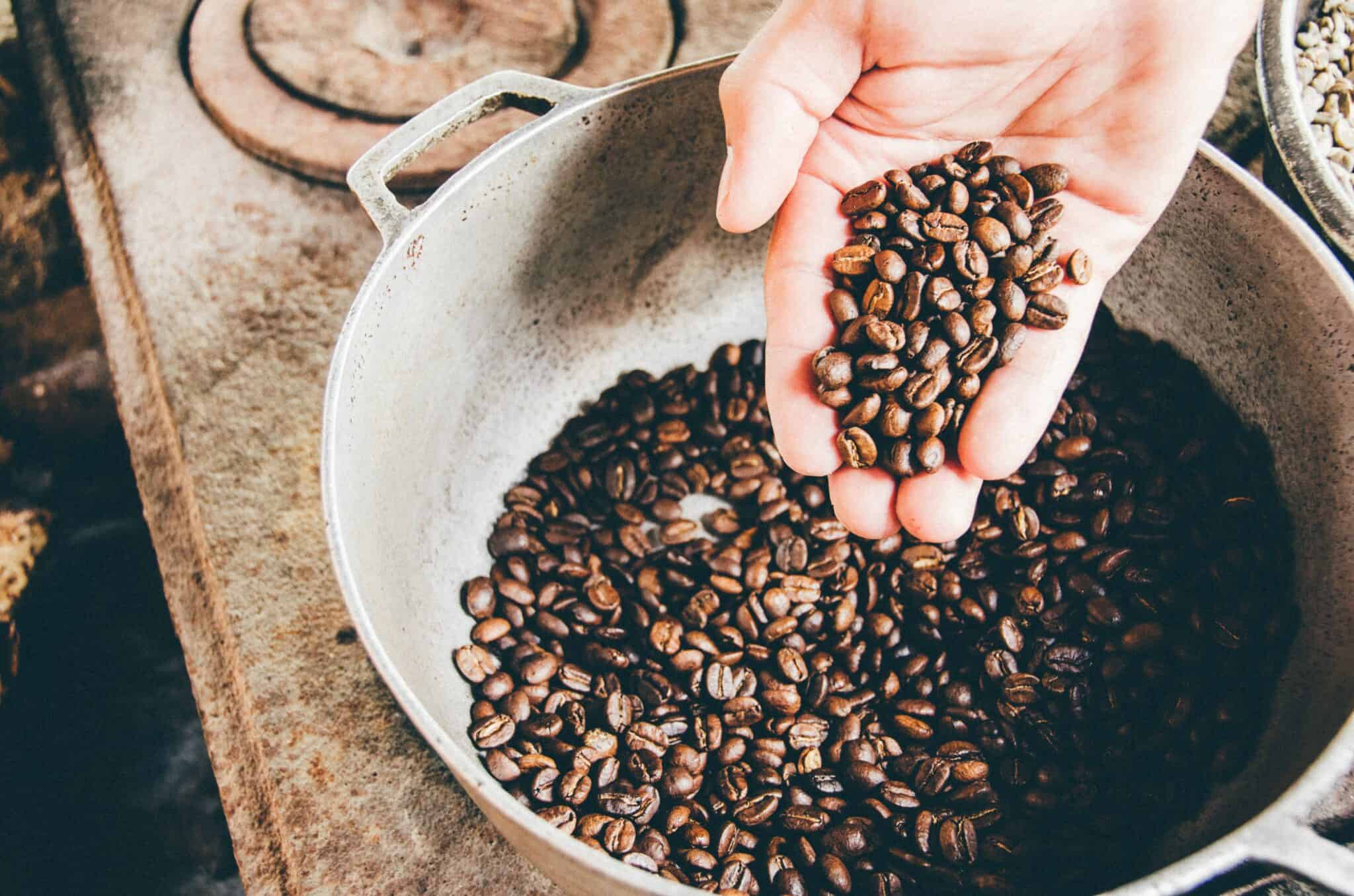 Ranked: The Most Caffeinated Coffee Bean Varieties - Espresso Insiders