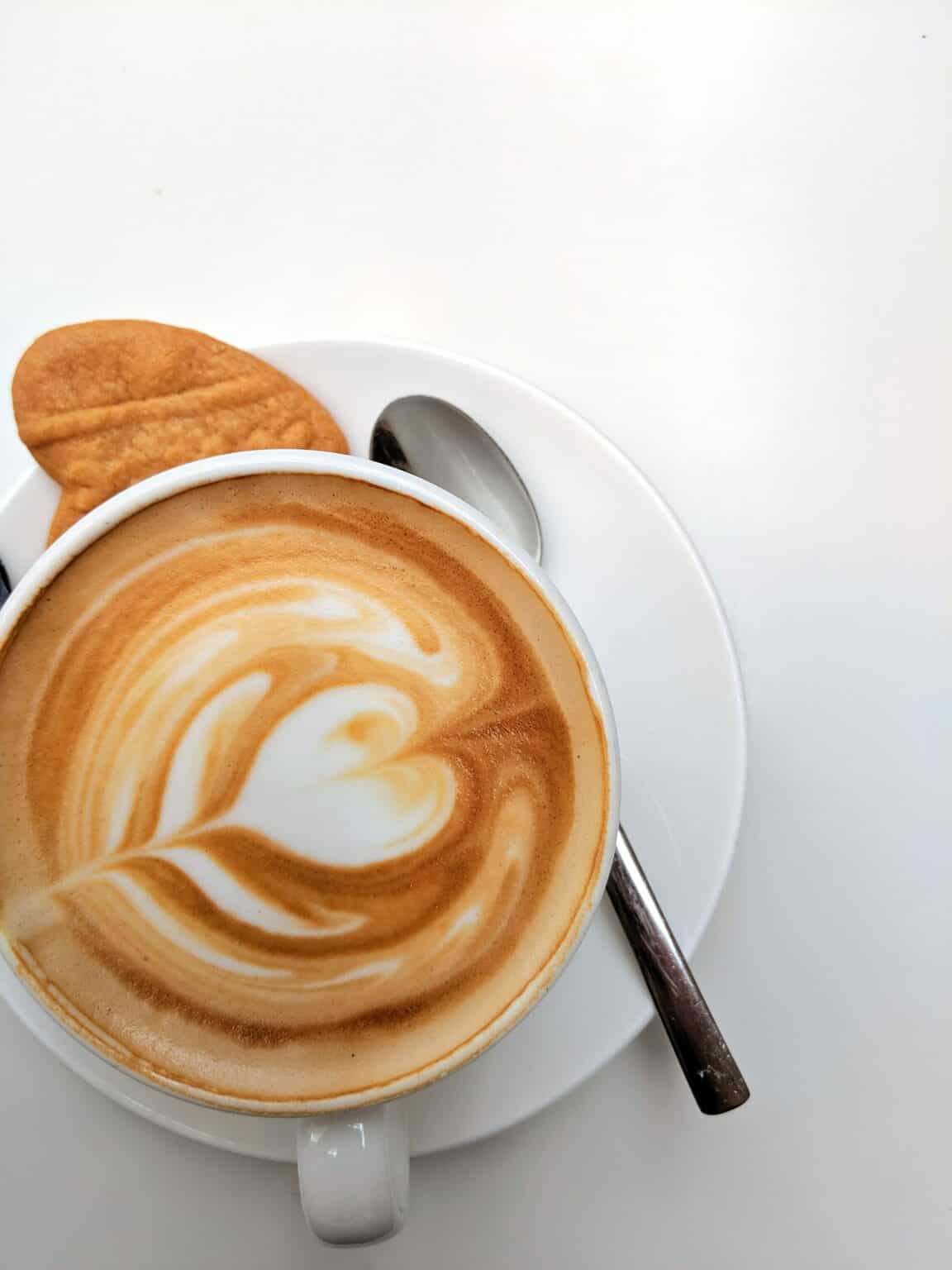 What is a Latte? (And How to Make One) - Espresso Insiders