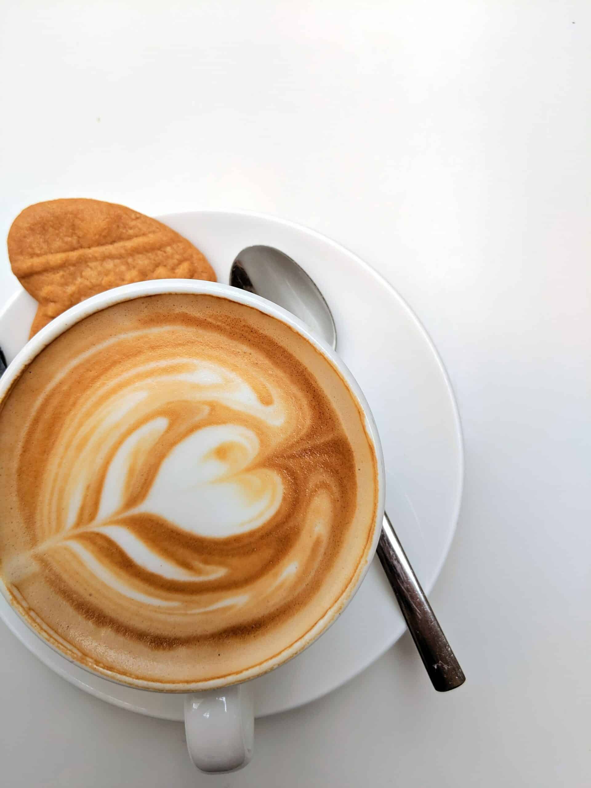 What is a Latte? (And How to Make One) - Espresso Insiders